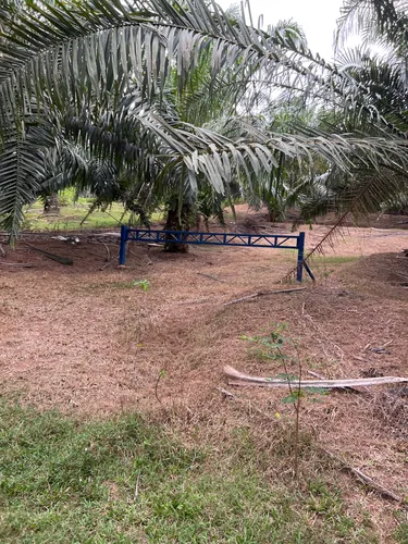 2023 Best Trails, Walks, and Paths in Padang Serai | AllTrails