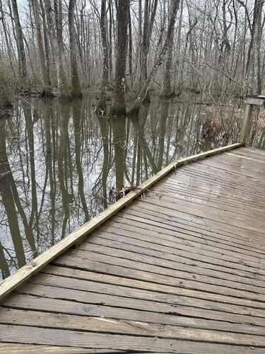 Best Hikes and Trails in Bluebonnet Swamp Nature Center | AllTrails