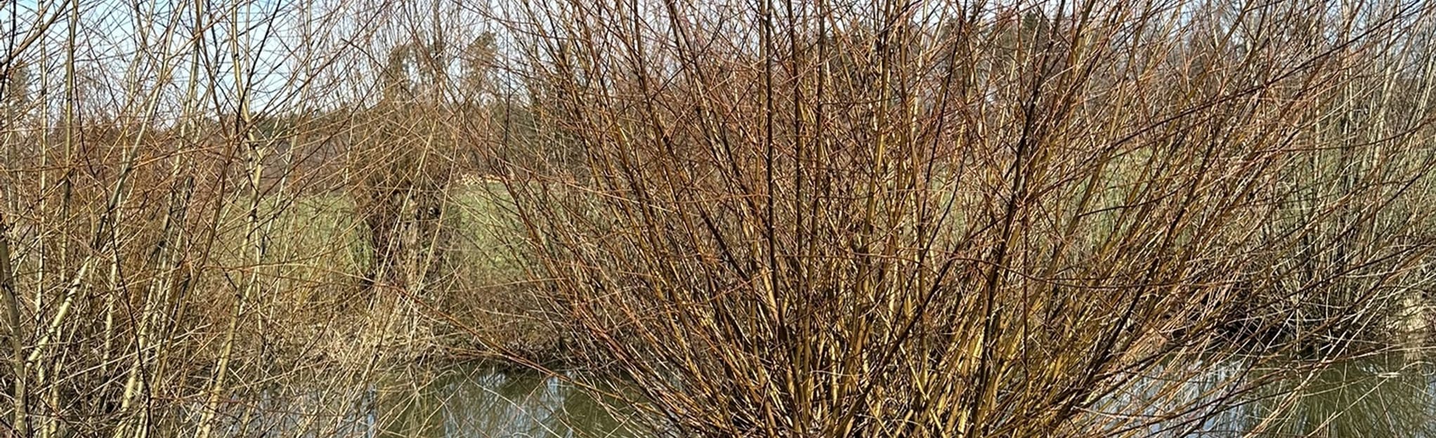 Opfikon Circular route, Zurich, Switzerland - 2 Reviews, Map | AllTrails