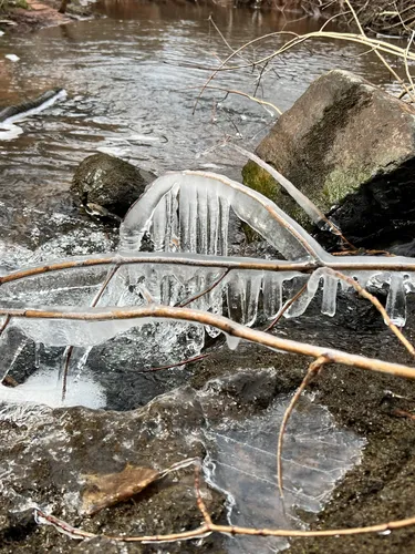 Best Hikes and Trails in Cobequid Trail | AllTrails