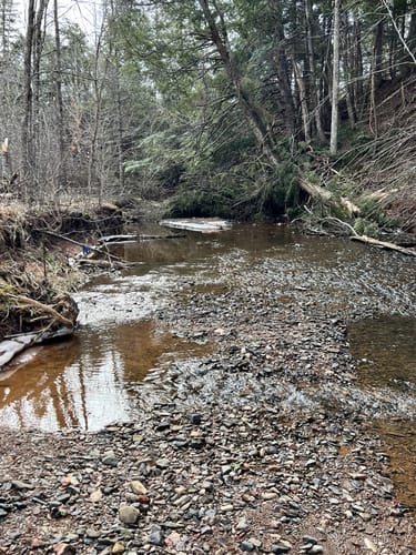 Best Hikes and Trails in Cobequid Trail | AllTrails