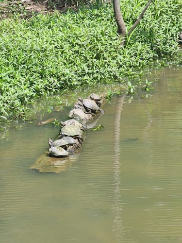 2023 Best trails in George Bush Park | AllTrails