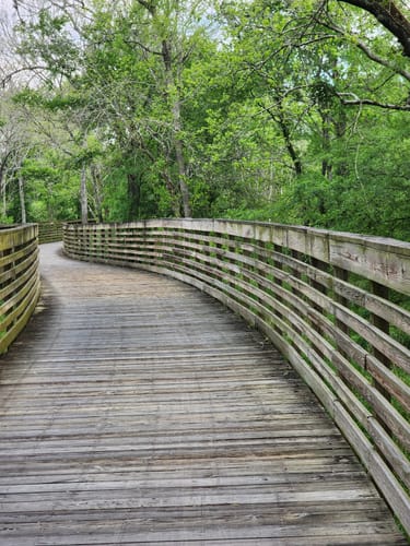 2023 Best trails in George Bush Park | AllTrails