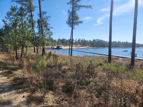 Best Hikes and Trails in Smith Lake Recreation Area | AllTrails