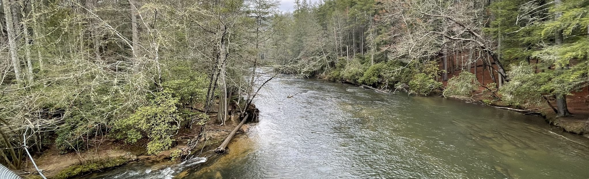 Toccoa River Trail via Benton MacKaye Duncan Ridge Trail, Georgia - 167 ...