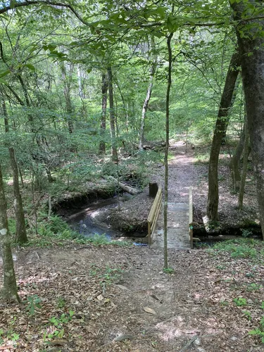 Best Hikes and Trails in Timberlane Ravine Park | AllTrails