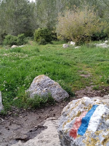 Best Hikes and Trails in Valley of Elah National Park | AllTrails