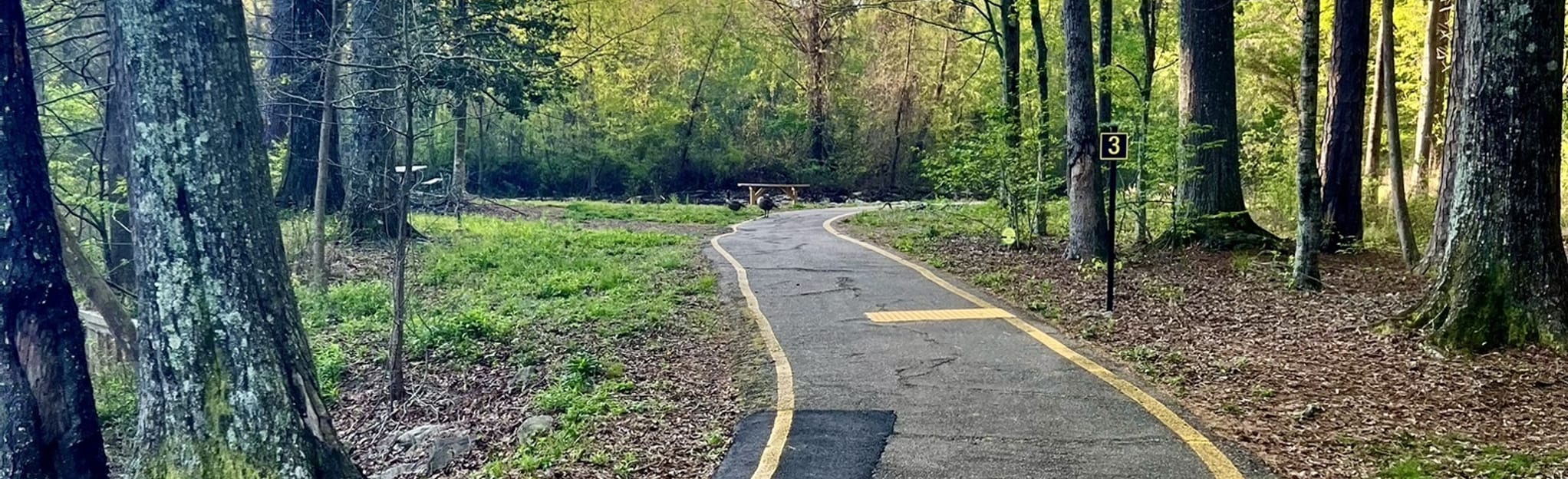 Barnett Reservoir Botanical Garden Trail | Map, Guide - Mississippi ...