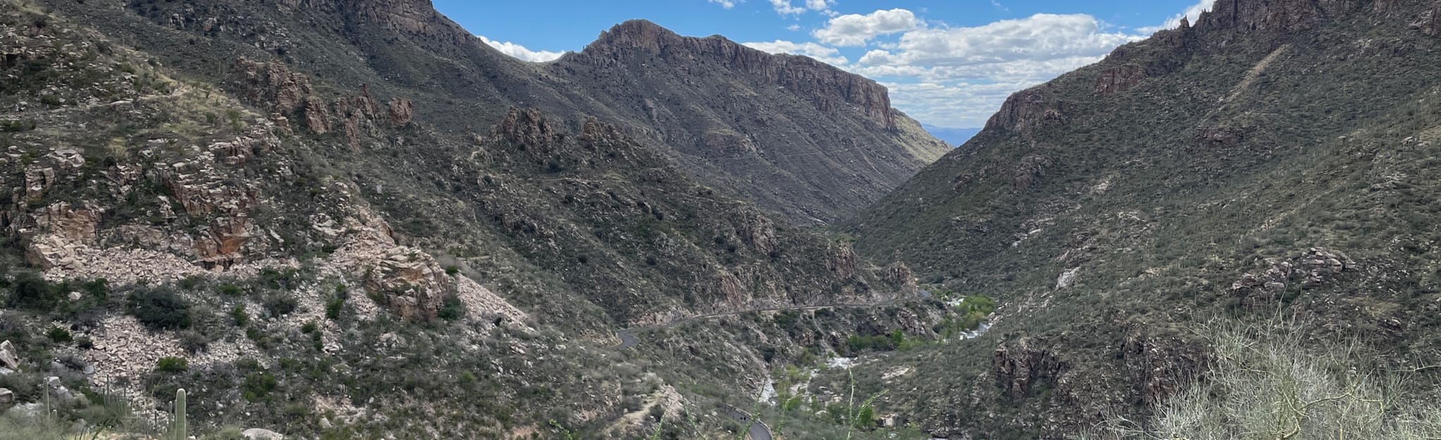 Hutch's Pool via West Fork Sabino Trail FS #24, Arizona - 331 Reviews ...