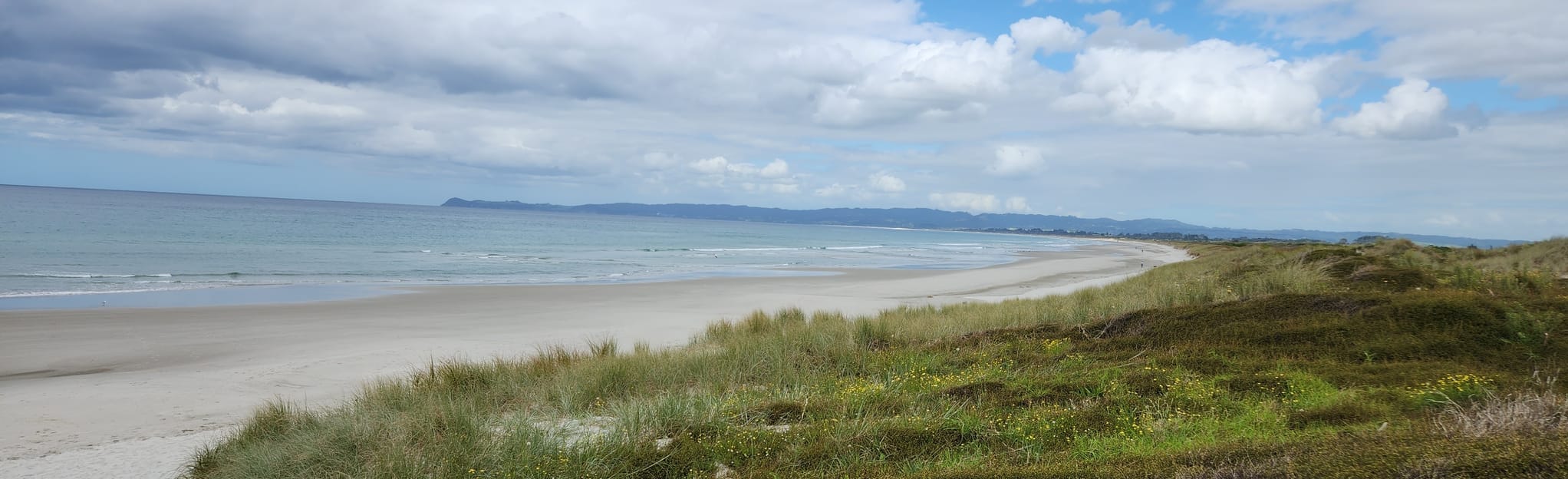Ruakaka Beach Walk, Northland, New Zealand - 16 Reviews, Map | AllTrails