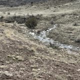 Trail Through Time, Colorado - 271 Reviews, Map | AllTrails