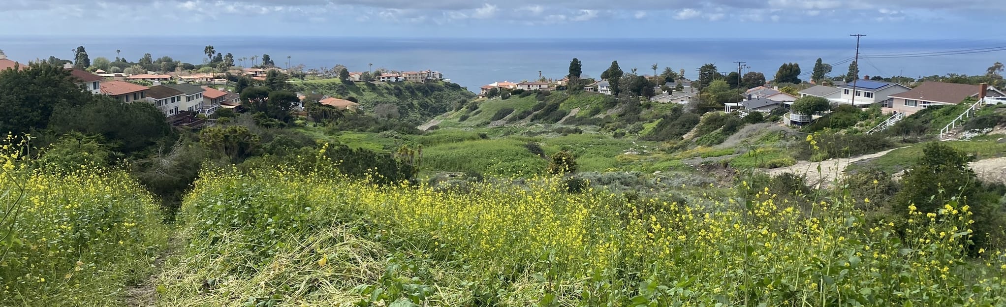 Malaga Lunada Vista Loop, California - 271 Reviews, Map | AllTrails