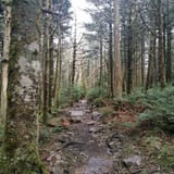Scales Trail via Appalachian Trail, Virginia - 48 Reviews, Map | AllTrails