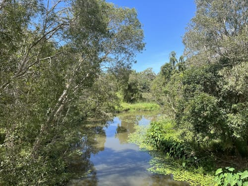 Best Hikes and Trails in Berrinba Wetlands | AllTrails