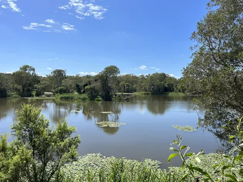 Best Hikes and Trails in Berrinba Wetlands | AllTrails