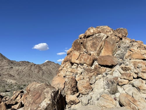 Best Hikes and Trails in Chuckwalla Mountains Wilderness | AllTrails