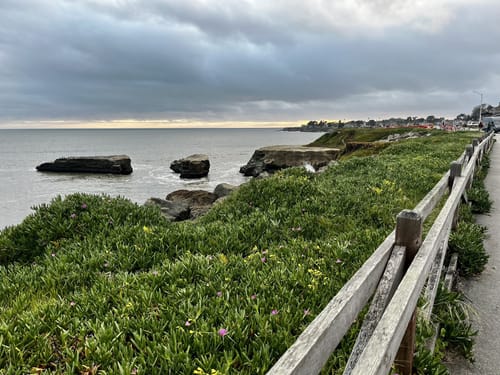 Best Hikes and Trails in Lighthouse Field State Beach | AllTrails