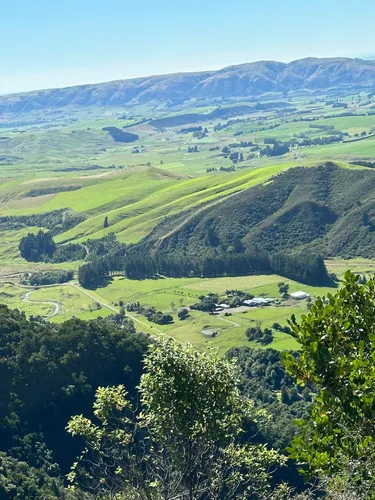 Best Hikes and Trails in Mount Nimrod Scenic Reserve | AllTrails