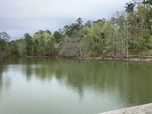 Best Hikes and Trails in South Toledo Bend State Park | AllTrails