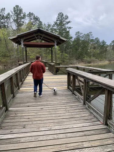 Best Hikes and Trails in South Toledo Bend State Park | AllTrails