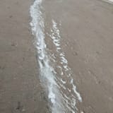 La Sal del Rey Trail, Texas - 26 Reviews, Map | AllTrails