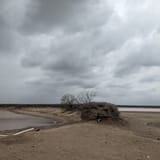 La Sal del Rey Trail, Texas - 26 Reviews, Map | AllTrails