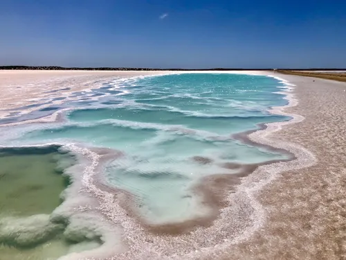 2023 Best 10 Views Trails in Guerrero Negro | AllTrails