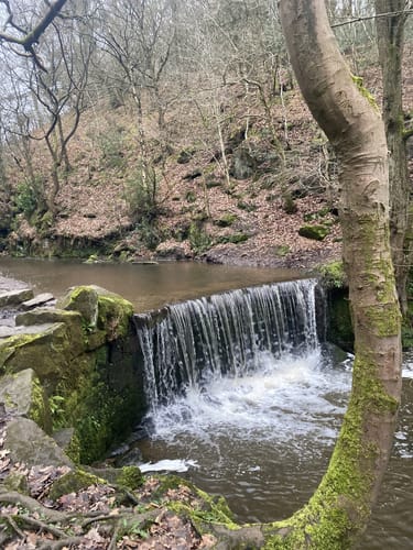 Best Hikes and Trails in Greenway Bank Country Park | AllTrails