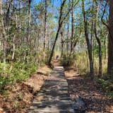 Neusiok Trail Northern Half, North Carolina - 151 Reviews, Map | AllTrails