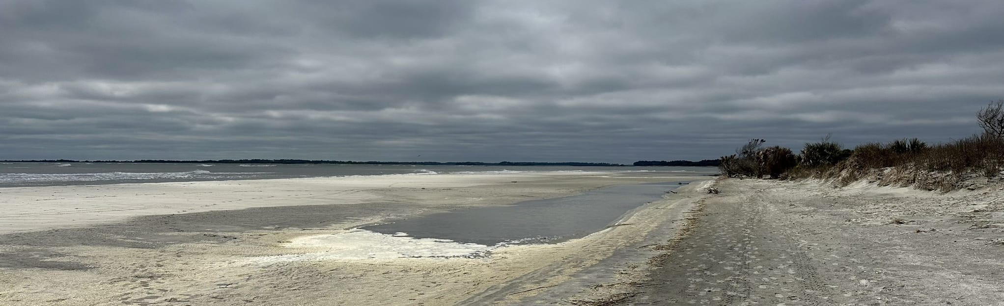 Folly Beach County Park Path, South Carolina - 46 Reviews, Map | AllTrails