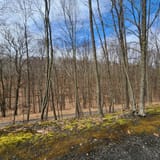Paulinskill Valley Rail Trail , New Jersey - 137 Reviews, Map | AllTrails