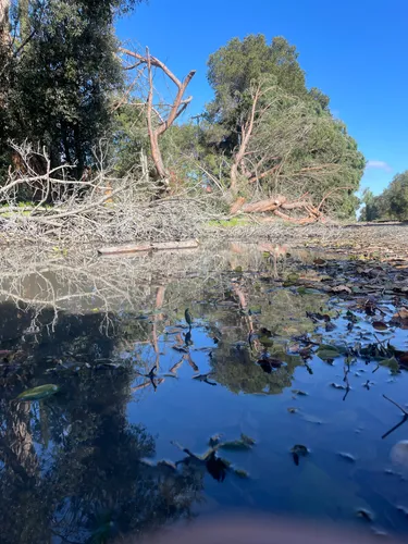 Best Hikes and Trails in Juan Bautista de Anza National Historic Trail | AllTrails