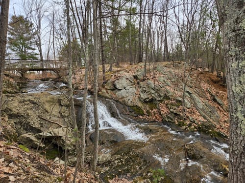 Best Hikes and Trails in Fore River Sanctuary | AllTrails