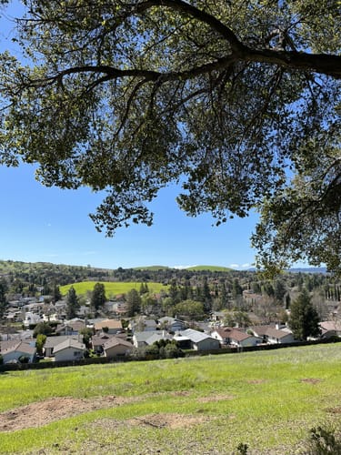 Best Hikes and Trails in Newhall Community Park | AllTrails