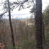 Buck Ridge Trail, Pennsylvania - 144 Reviews, Map | AllTrails