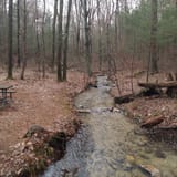 Buck Ridge Trail, Pennsylvania - 144 Reviews, Map | AllTrails