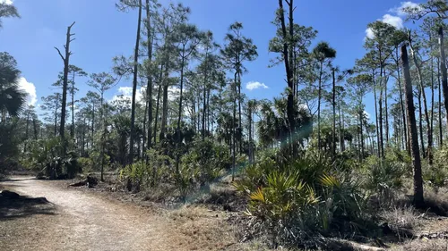 Best Hikes and Trails in Serenity Walk Park | AllTrails