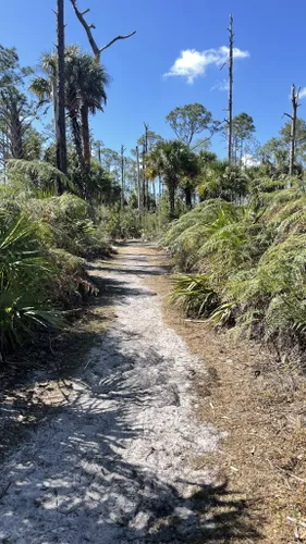Best Hikes and Trails in Serenity Walk Park | AllTrails
