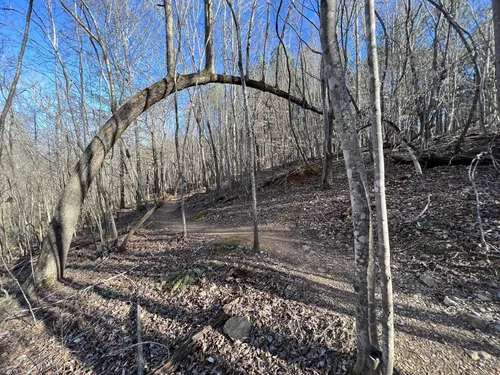 Best Hikes and Trails in Duke Forest | AllTrails