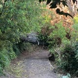 Newstead Walkway, Waikato, New Zealand - 32 Reviews, Map | AllTrails