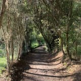 Newstead Walkway, Waikato, New Zealand - 32 Reviews, Map | AllTrails