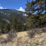 Ben Tyler Trail, Colorado - 591 Reviews, Map | AllTrails