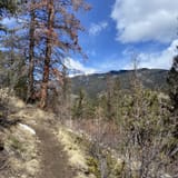 Ben Tyler Trail, Colorado - 591 Reviews, Map | AllTrails