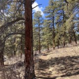 Ben Tyler Trail, Colorado - 591 Reviews, Map | AllTrails