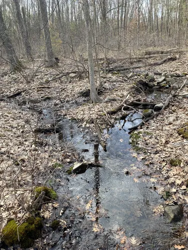 Best Hikes and Trails in Lime Kiln Quarry | AllTrails