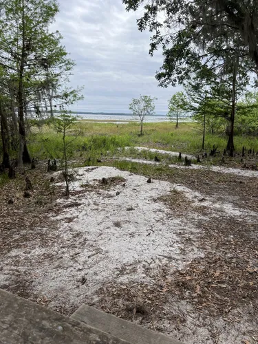 2023 Best Forest Trails in Frostproof | AllTrails