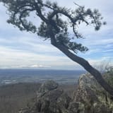 High Rocks Trail, Virginia - 479 Reviews, Map | AllTrails