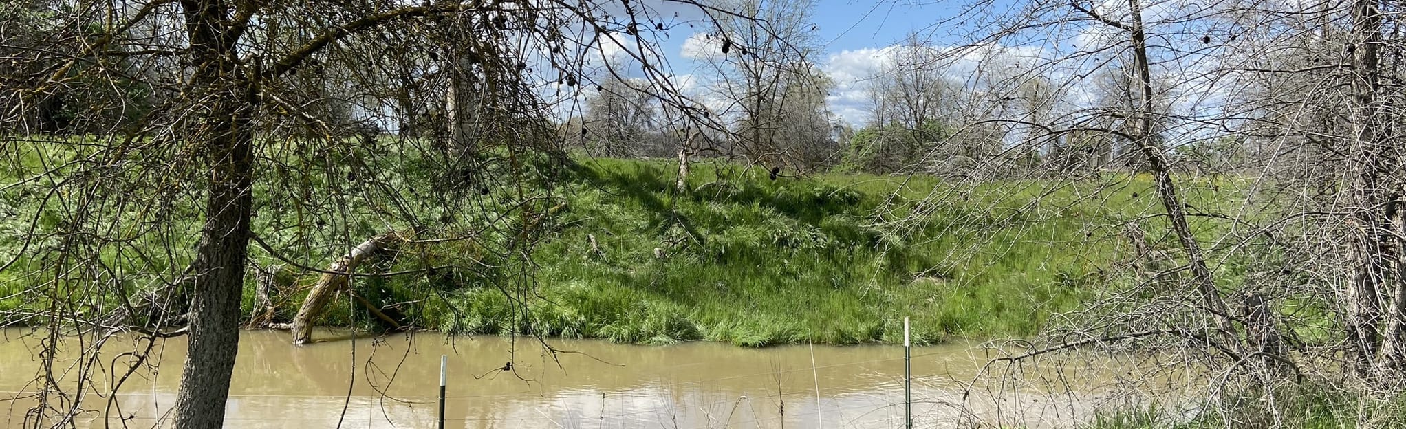 Valley Oak Trail: 38 foto - California | AllTrails