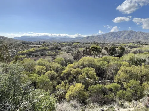 Best Hikes and Trails in Morongo Valley | AllTrails