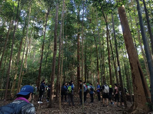 2023 Best Forest Trails in Gunung Ledang National Park | AllTrails